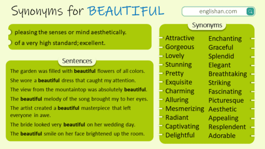 Synonyms Words List with Meanings and Sentences • Englishan