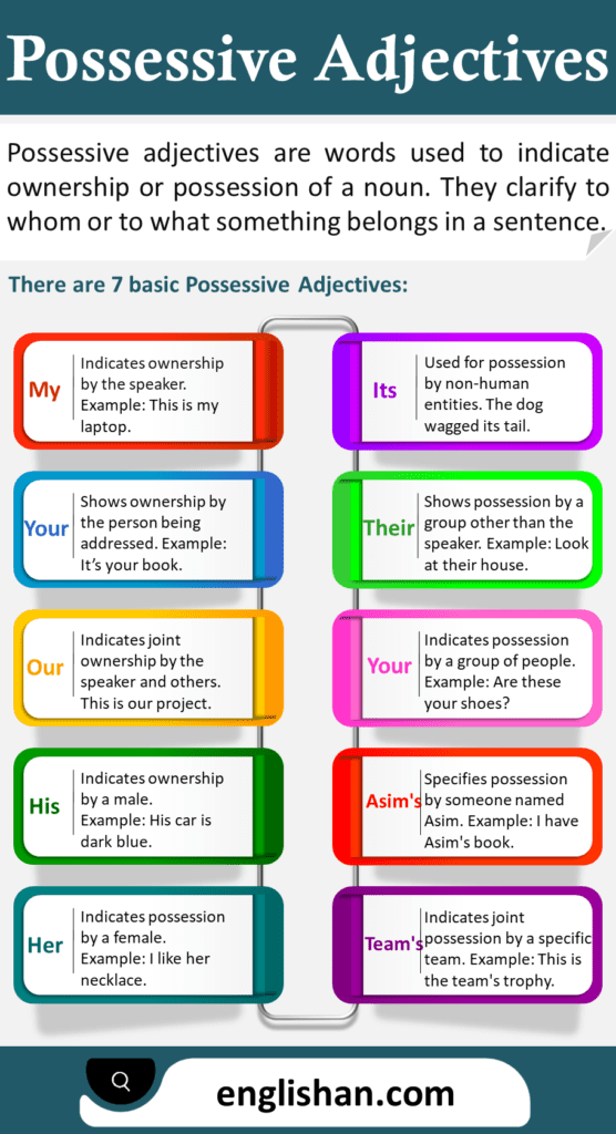 Possessive Adjectives in English with Examples • Englishan