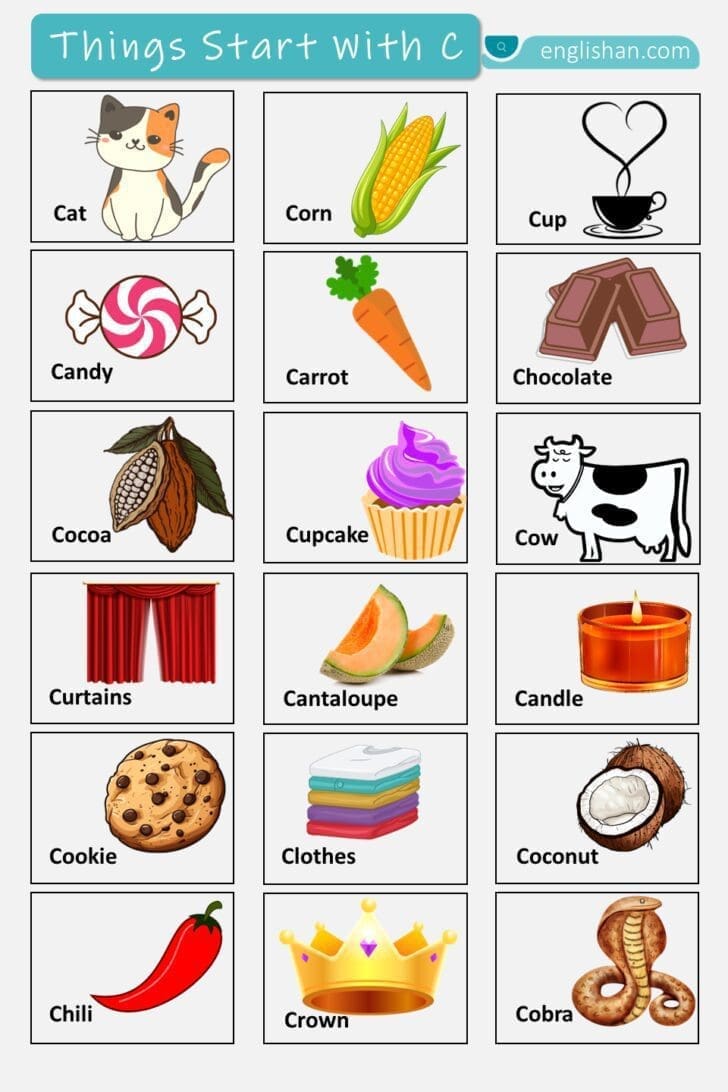 Things Start with C with Pictures • Englishan