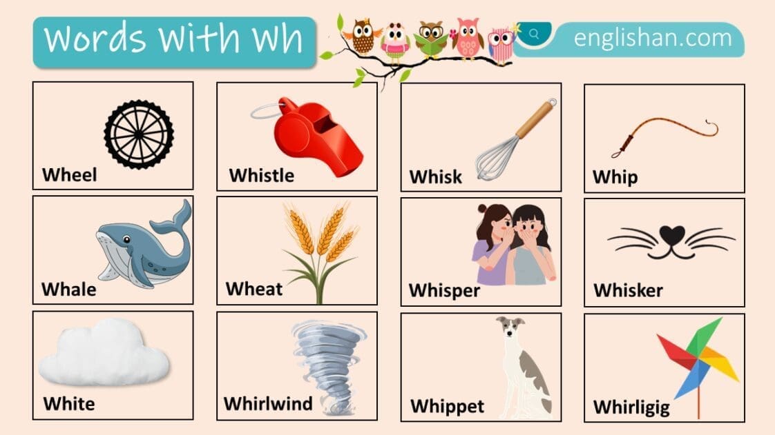 A to Z Similar Words with Different Meanings in English