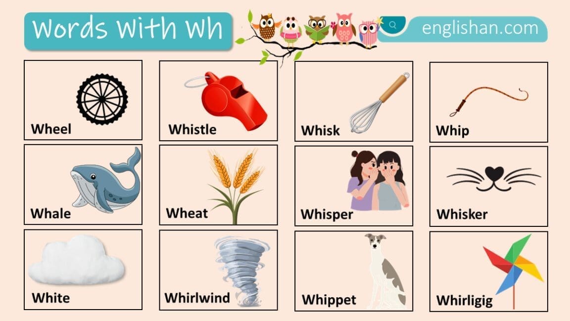 Words with Wh with Their Pictures • Englishan
